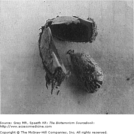 Chapter 19. Ricin | Anesthesia Key